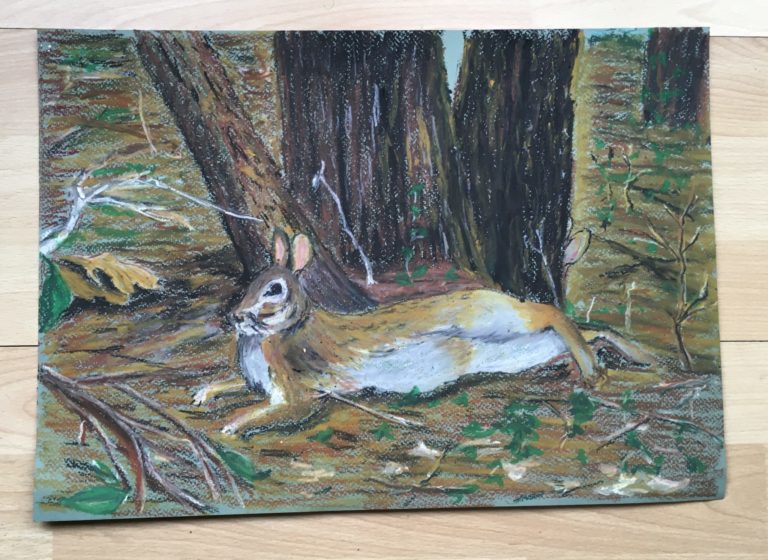 Peek a boo | Paint And Draw Together